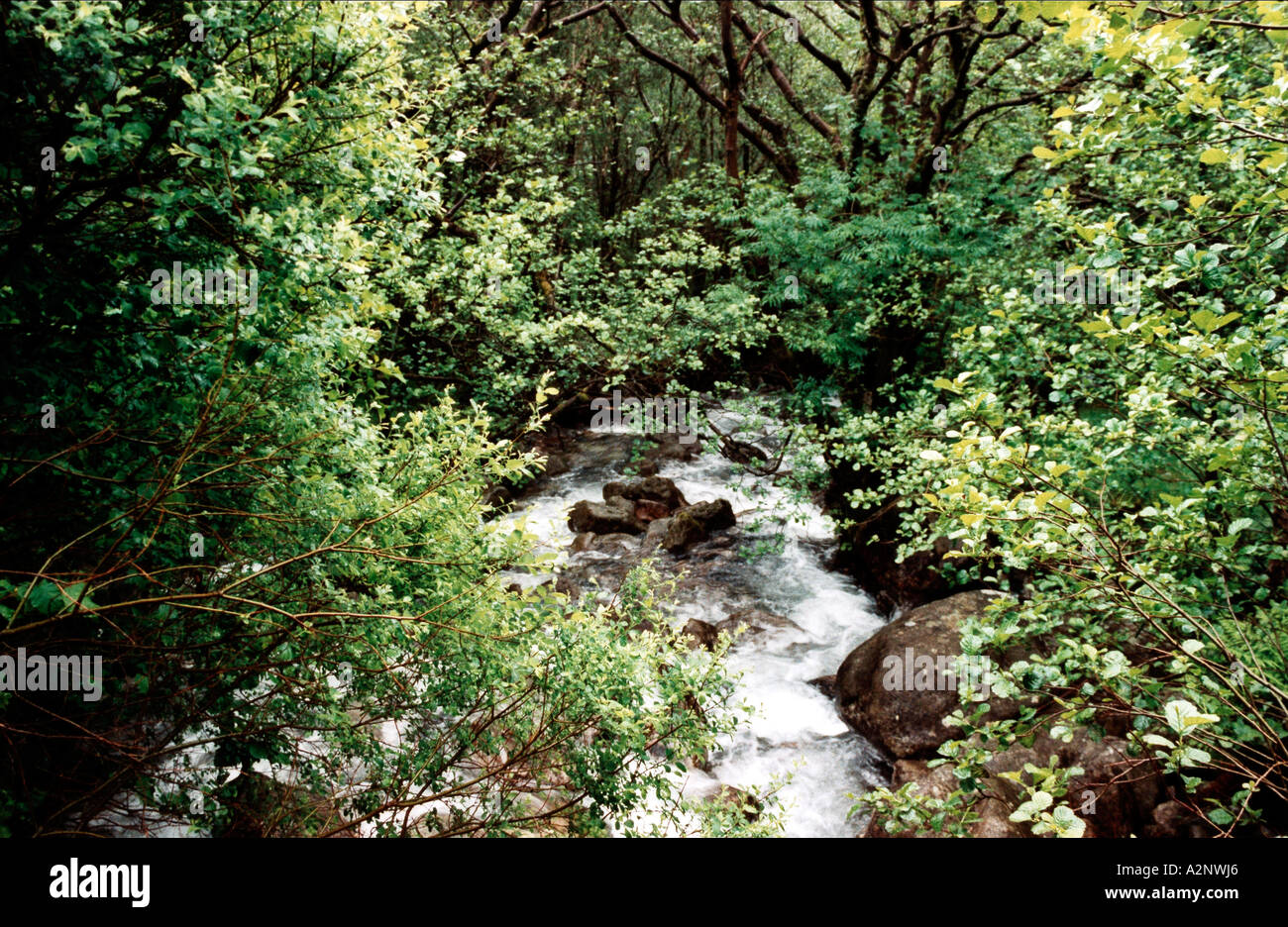 A Babbling Brook Glen Nevis Stock Photo - Alamy