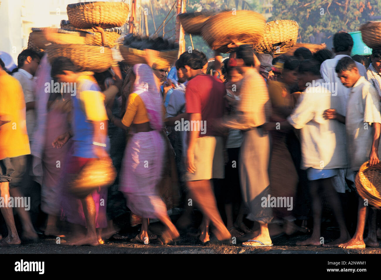 Fish market mumbai hi-res stock photography and images - Alamy