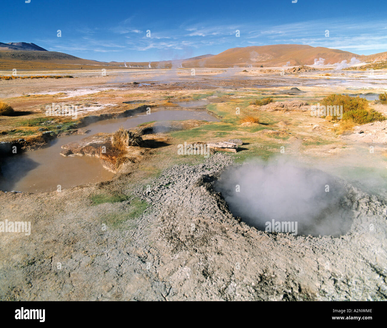 El Tatio Geysers near San Pedro de Atacama Chile Stock Photo - Alamy
