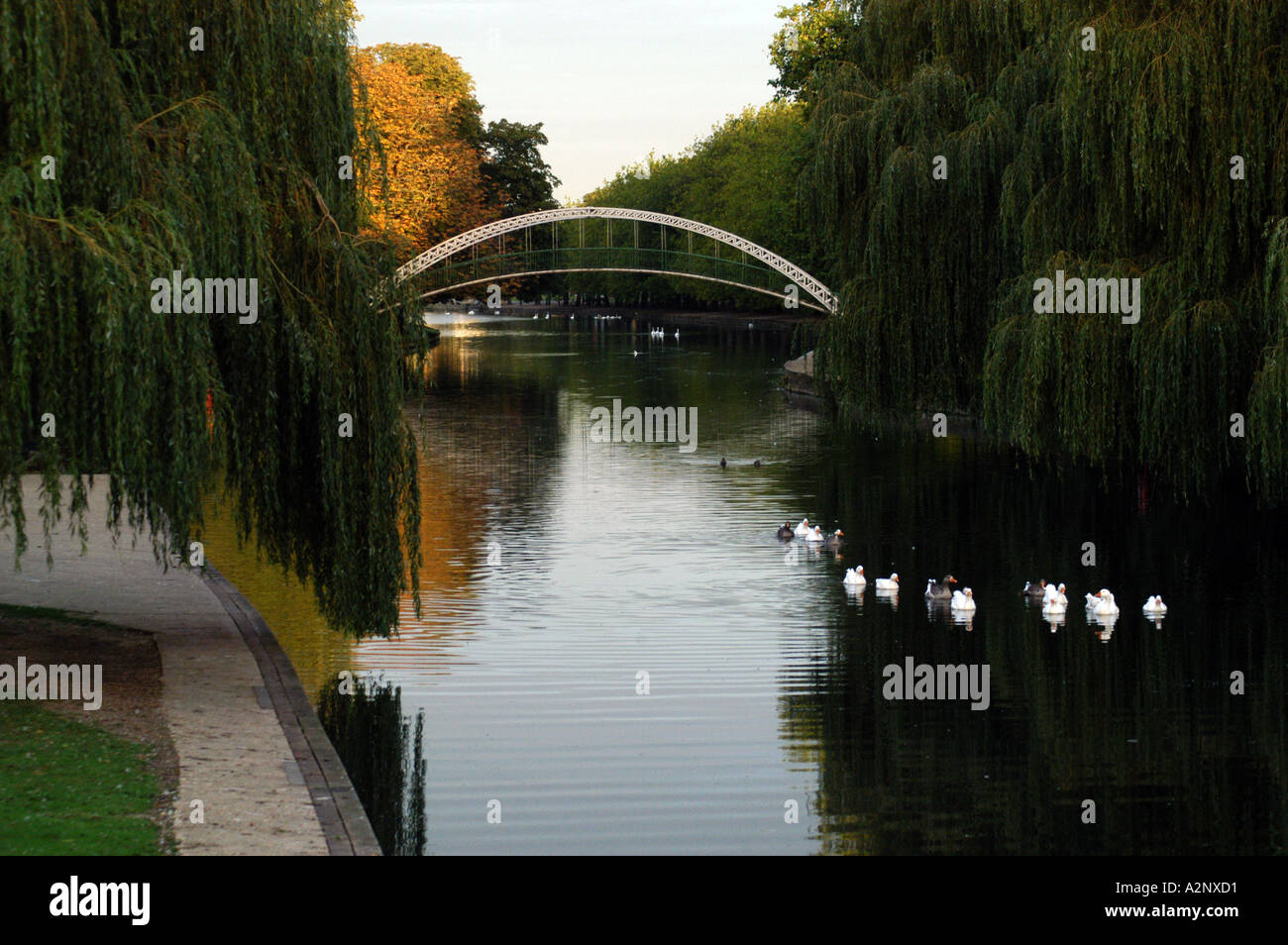 river ouse bedford embankment with suspension bridge Stock Photo - Alamy