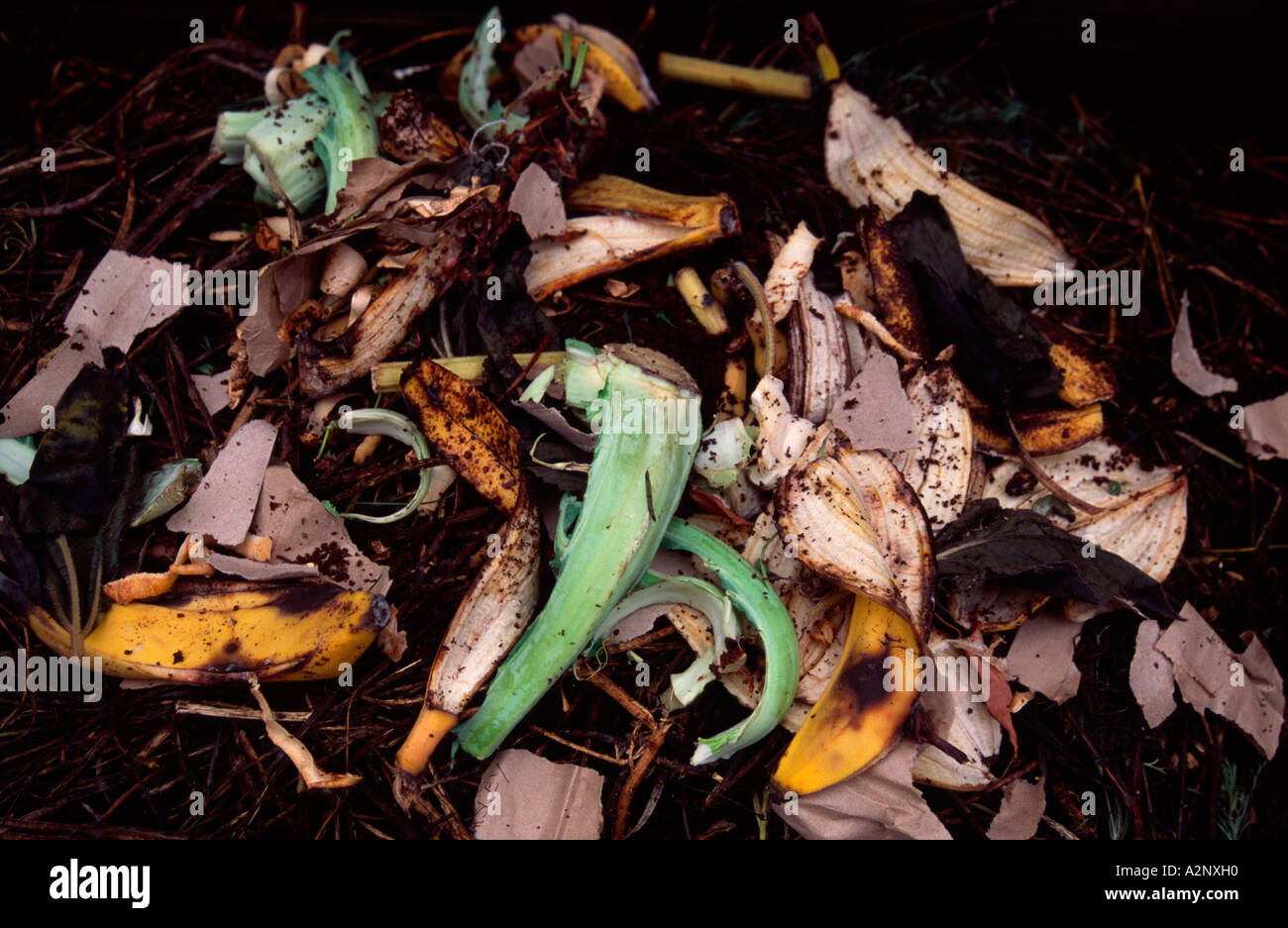 Compost heap in its initial stage, with garden and kitchen waste in the ...