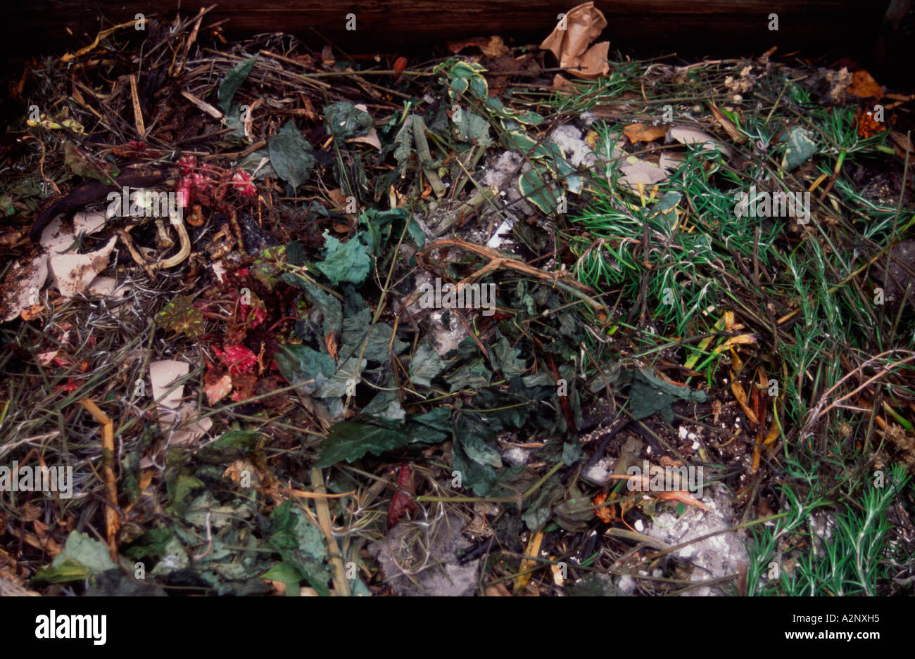 Compost heap in its initial stage, with garden and kitchen waste in the ...