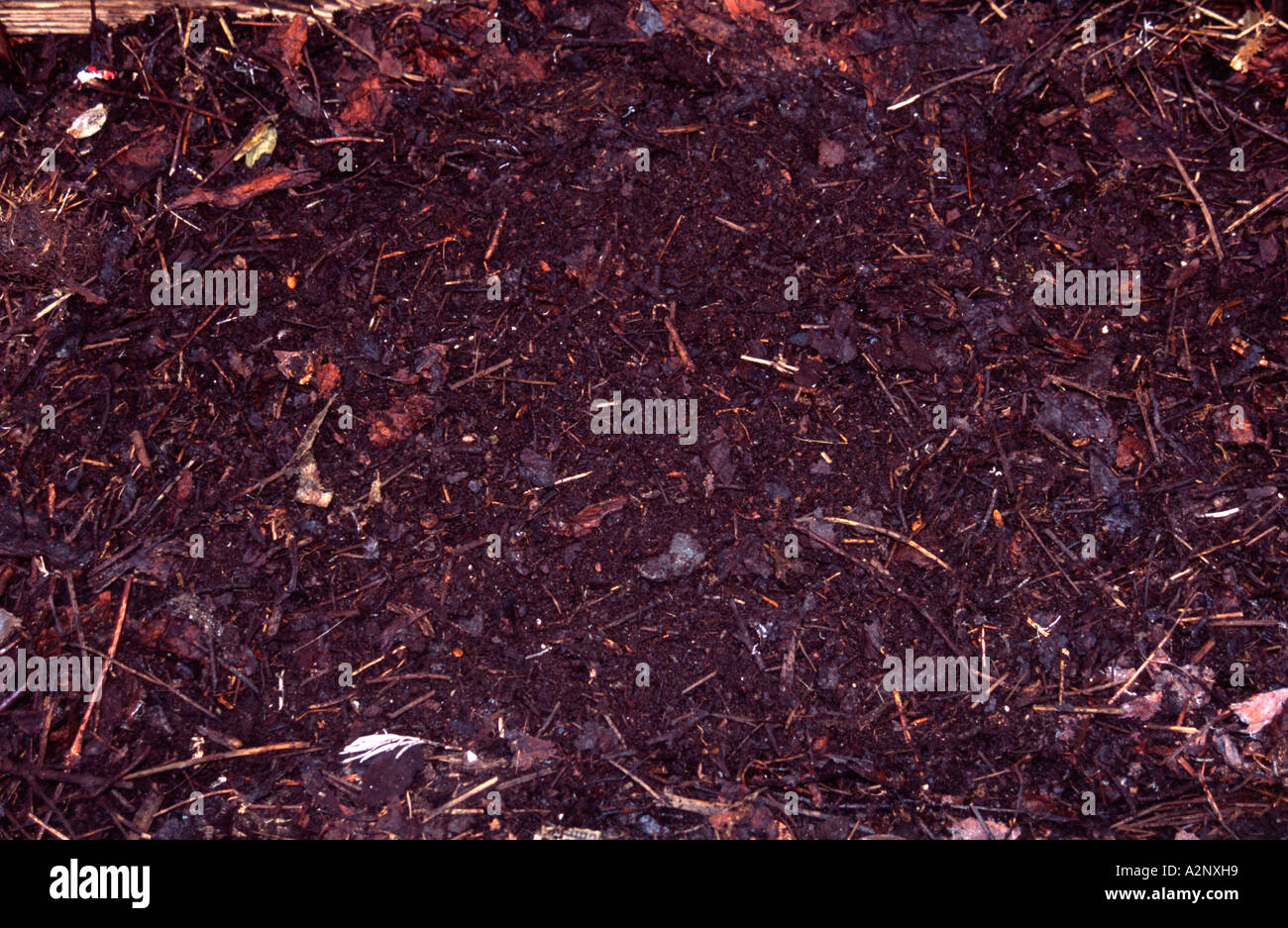 Compost heap, in an advanced state of composting and almost ready for ...