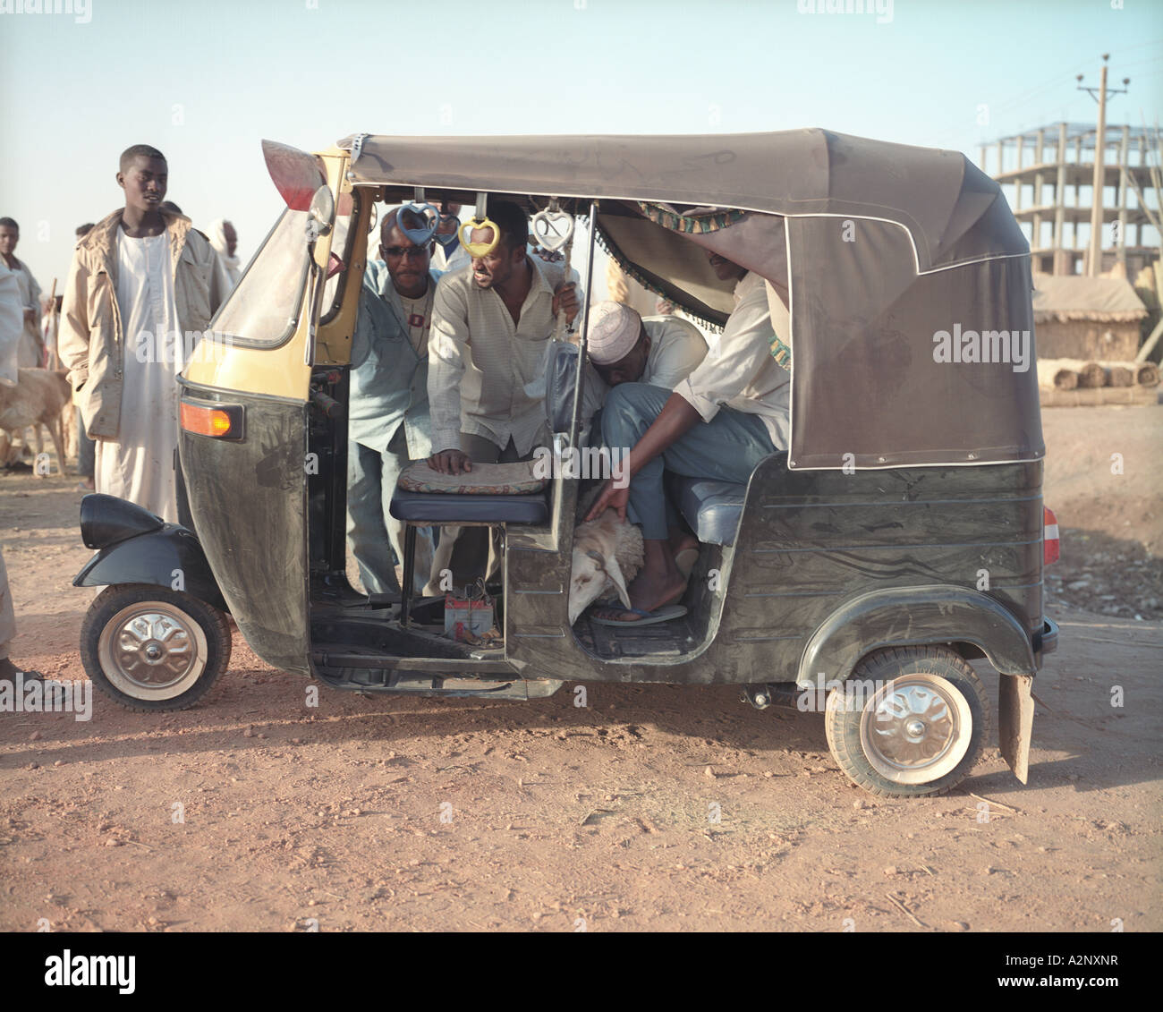 Rickshaws. Khartoum, Sheep market before the last days of Ramadan ...
