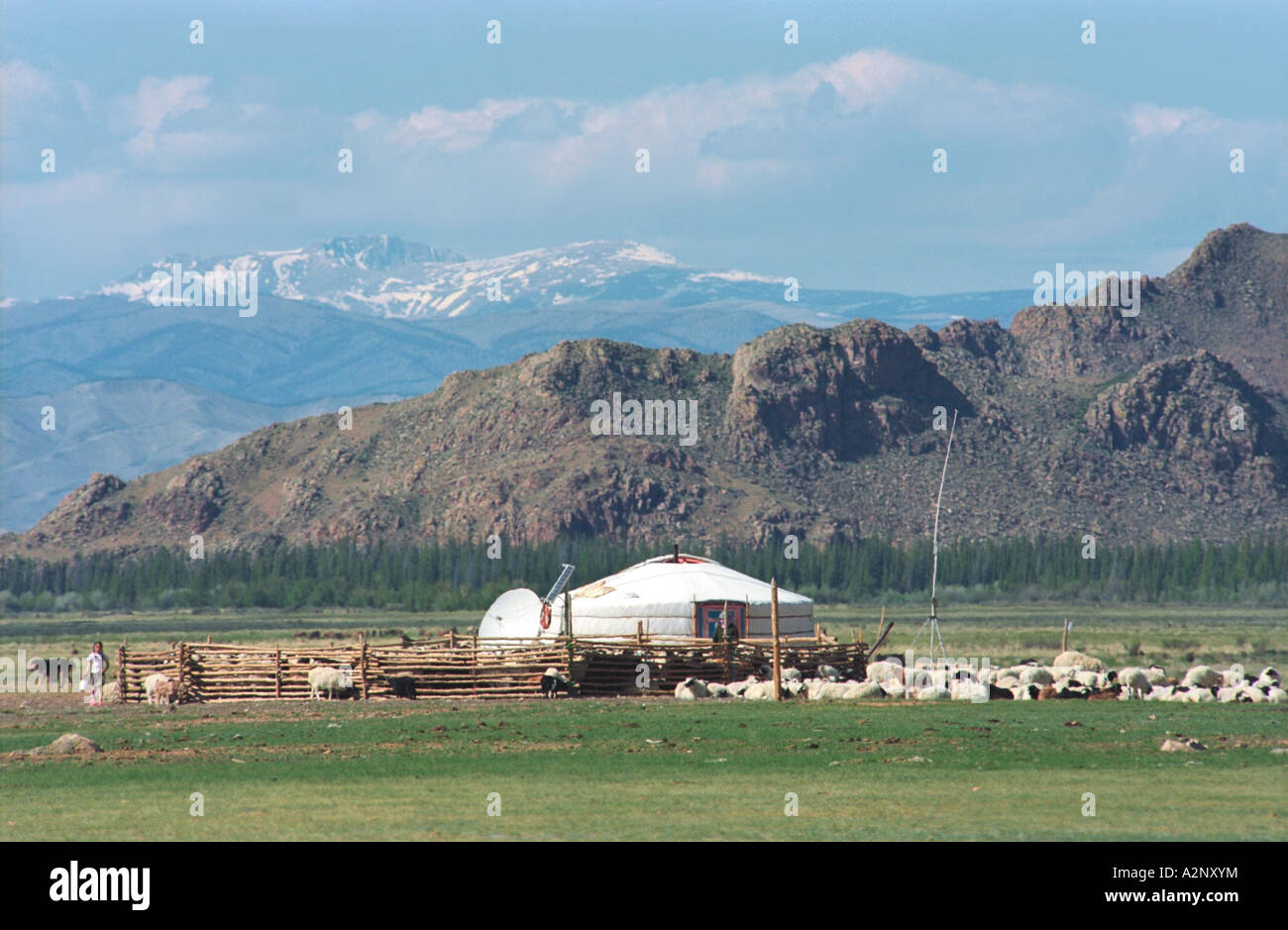 Mongolian dwelling – yurt. Bayantes village (somon) nearby. Zavkhan ...