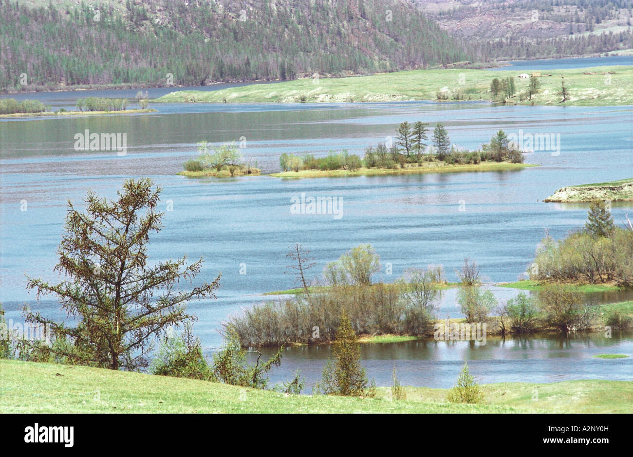 Dood Nuur lake and Shishkhid Gol river. Darhadyn Wetland. Khovsgol ...