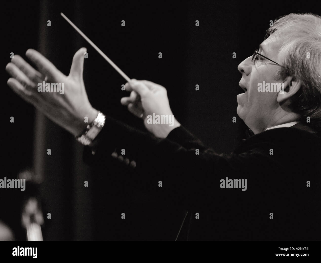 Conductor Back High Resolution Stock Photography and Images - Alamy