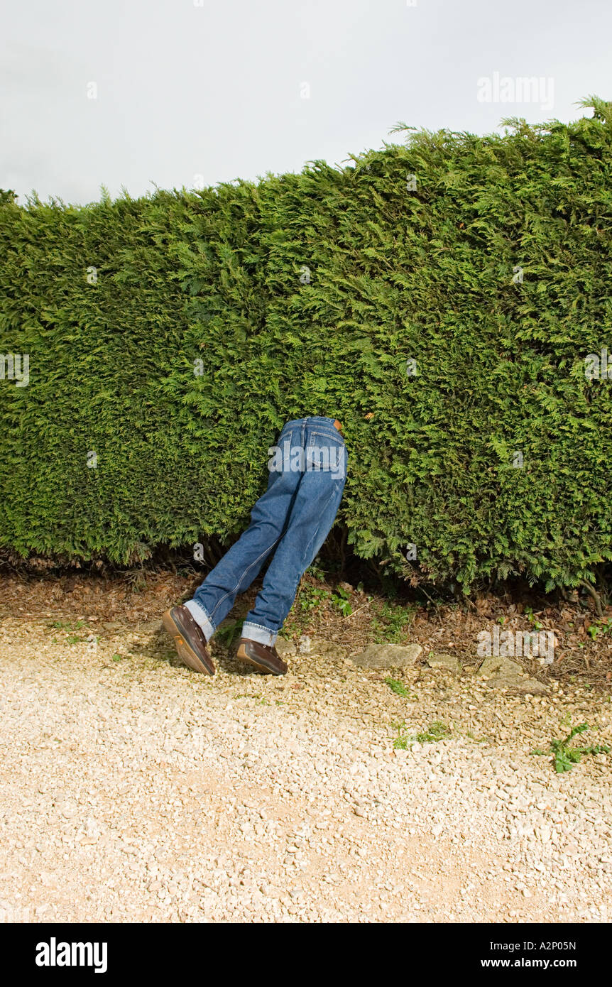 Legs of mannequin sticking out from hedge Stock Photo - Alamy