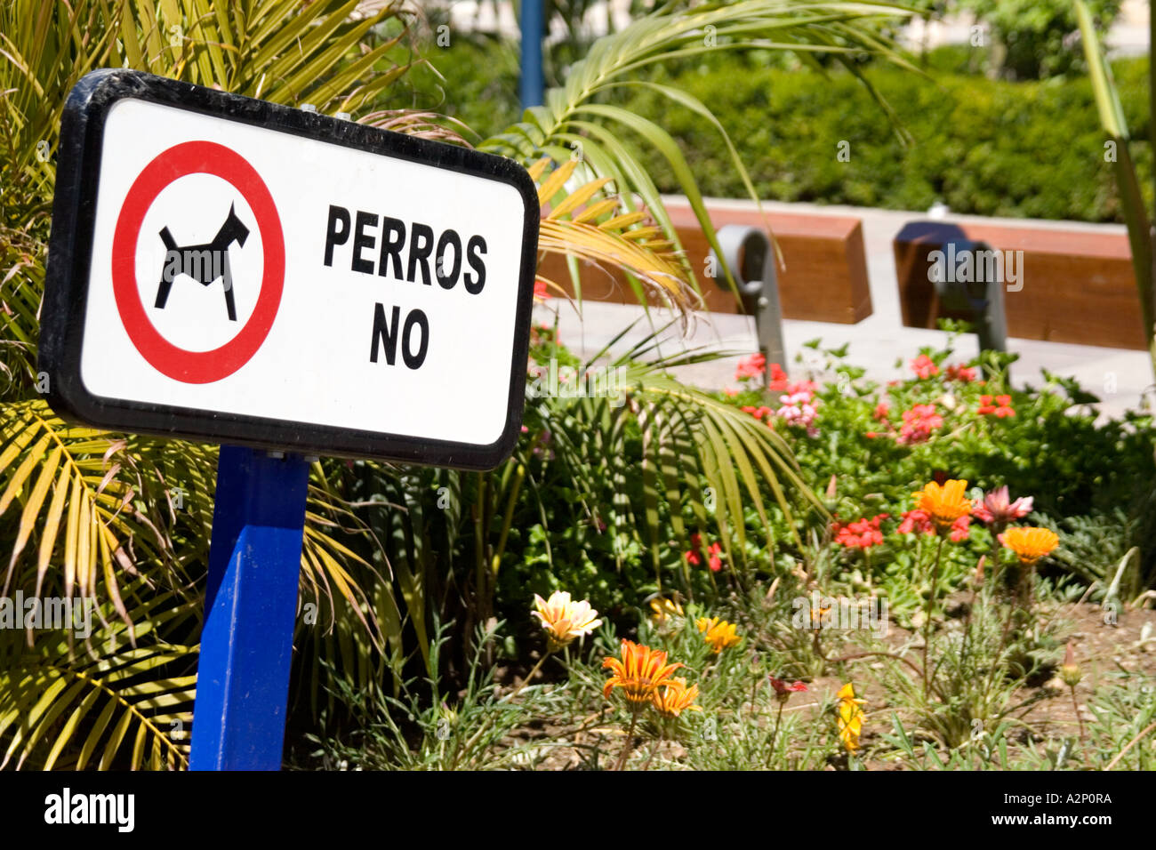 Perros del mar hi-res stock photography and images - Alamy
