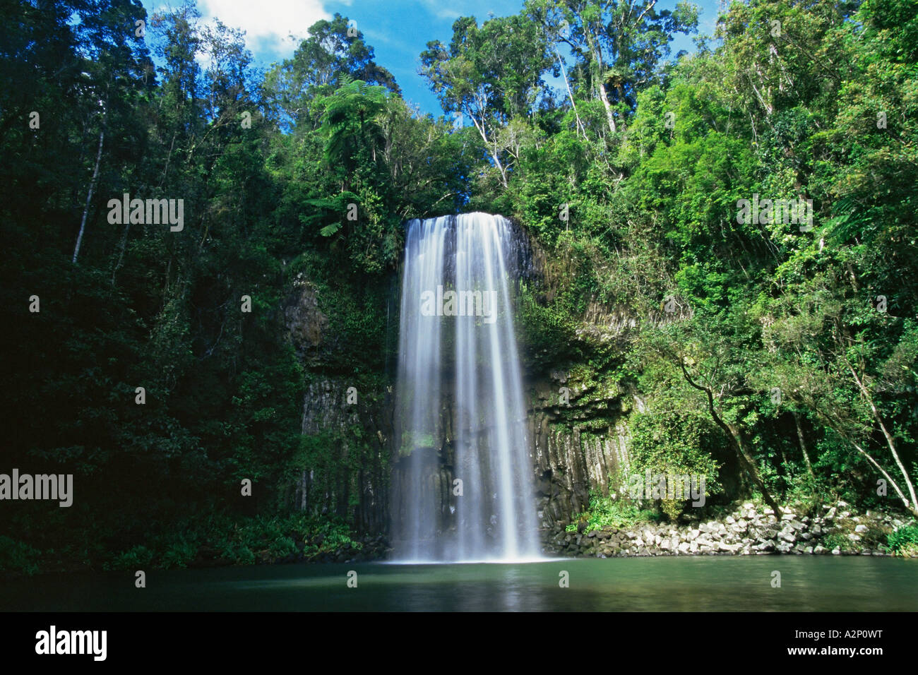 Rainforest kakadu national park northern hi-res stock photography and ...
