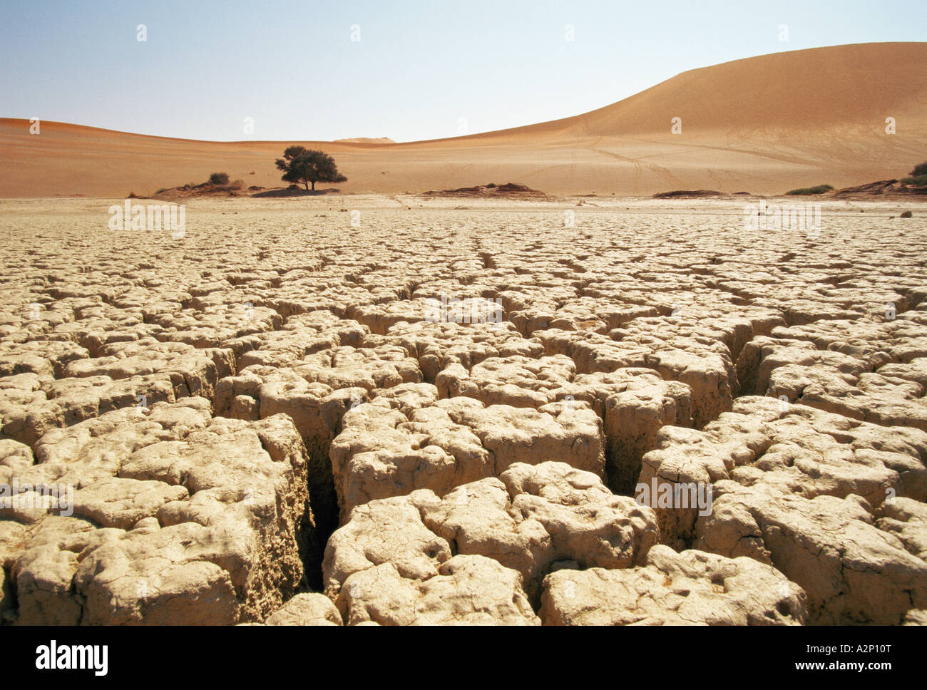Cracked soil in desert Stock Photo - Alamy