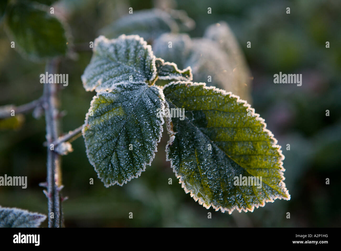 A bit cold hi-res stock photography and images - Alamy