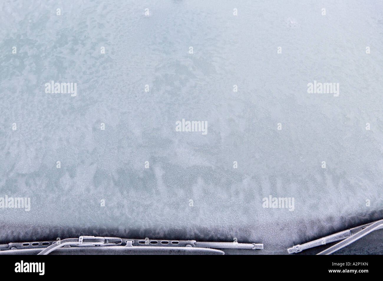 frost on car windscreen Stock Photo - Alamy