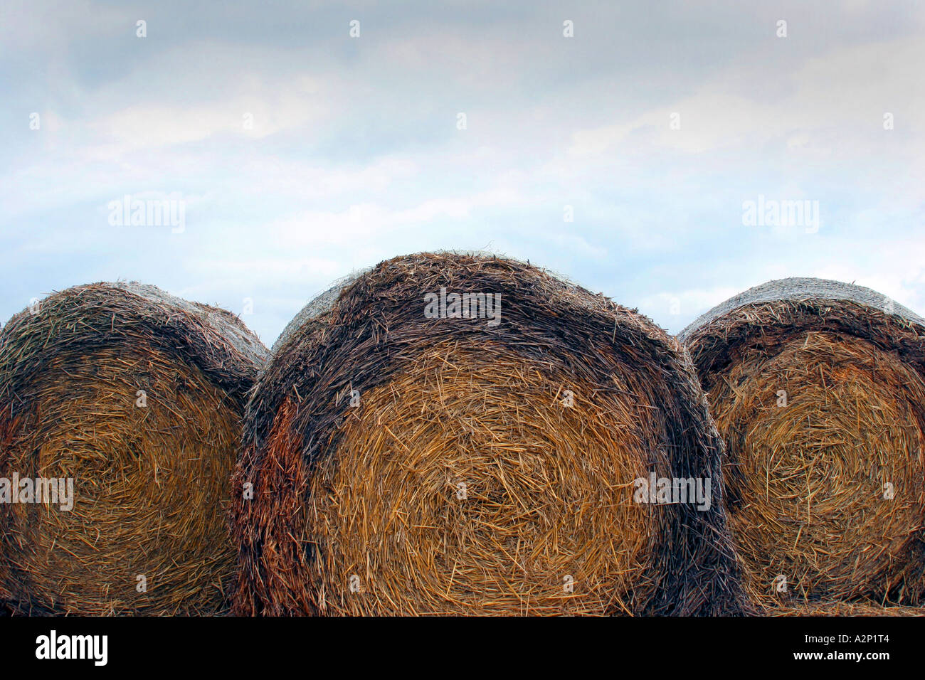 3 straw bales hi-res stock photography and images - Alamy