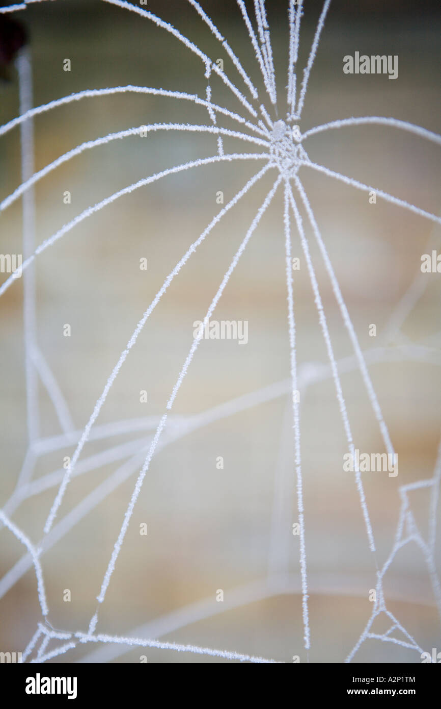 A bit cold hi-res stock photography and images - Alamy