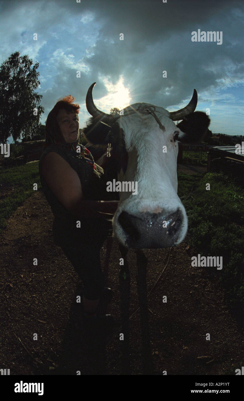 Woman is leading a cow to a stall. Altai. Siberia. Russia Stock Photo ...