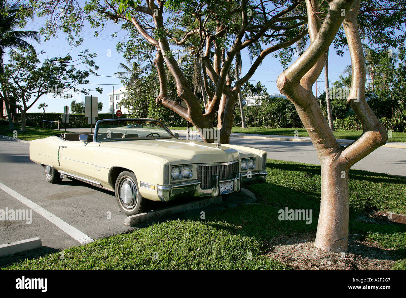Cowboy driving automobile hi-res stock photography and images - Alamy