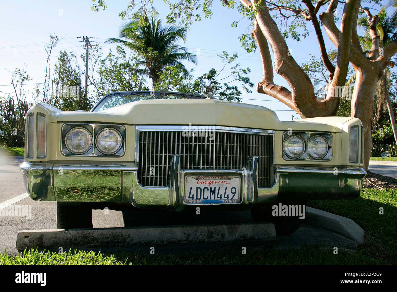 Chevrolet large old automobile posh lonely alone forest thoughtful ...