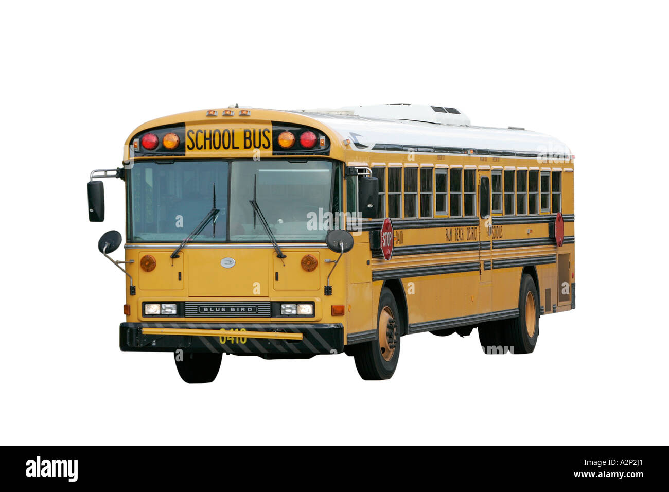 School bus driving down a road that is surrounded by greenery Palm ...