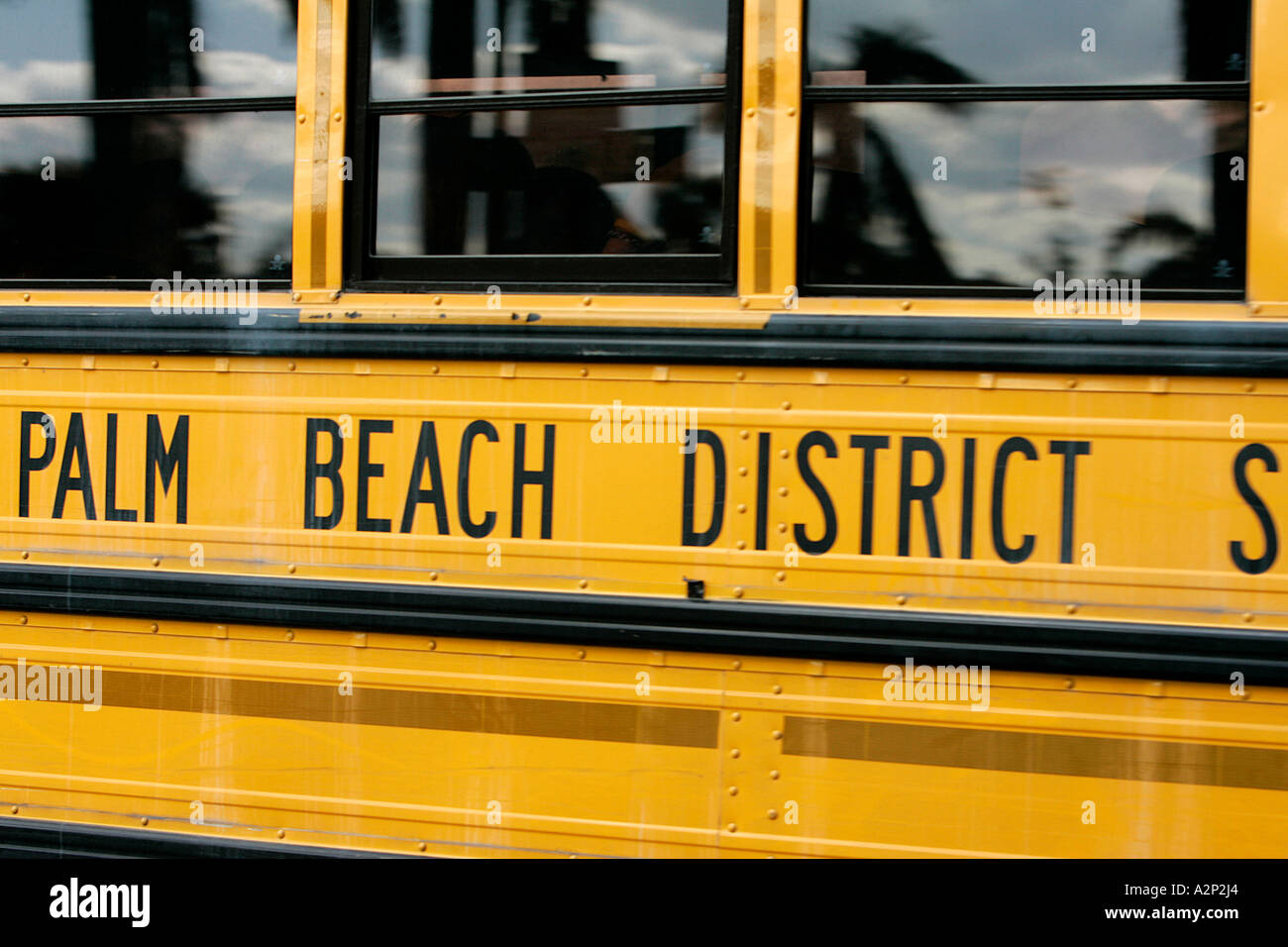 School bus driving down a road that is surrounded by greenery Palm ...