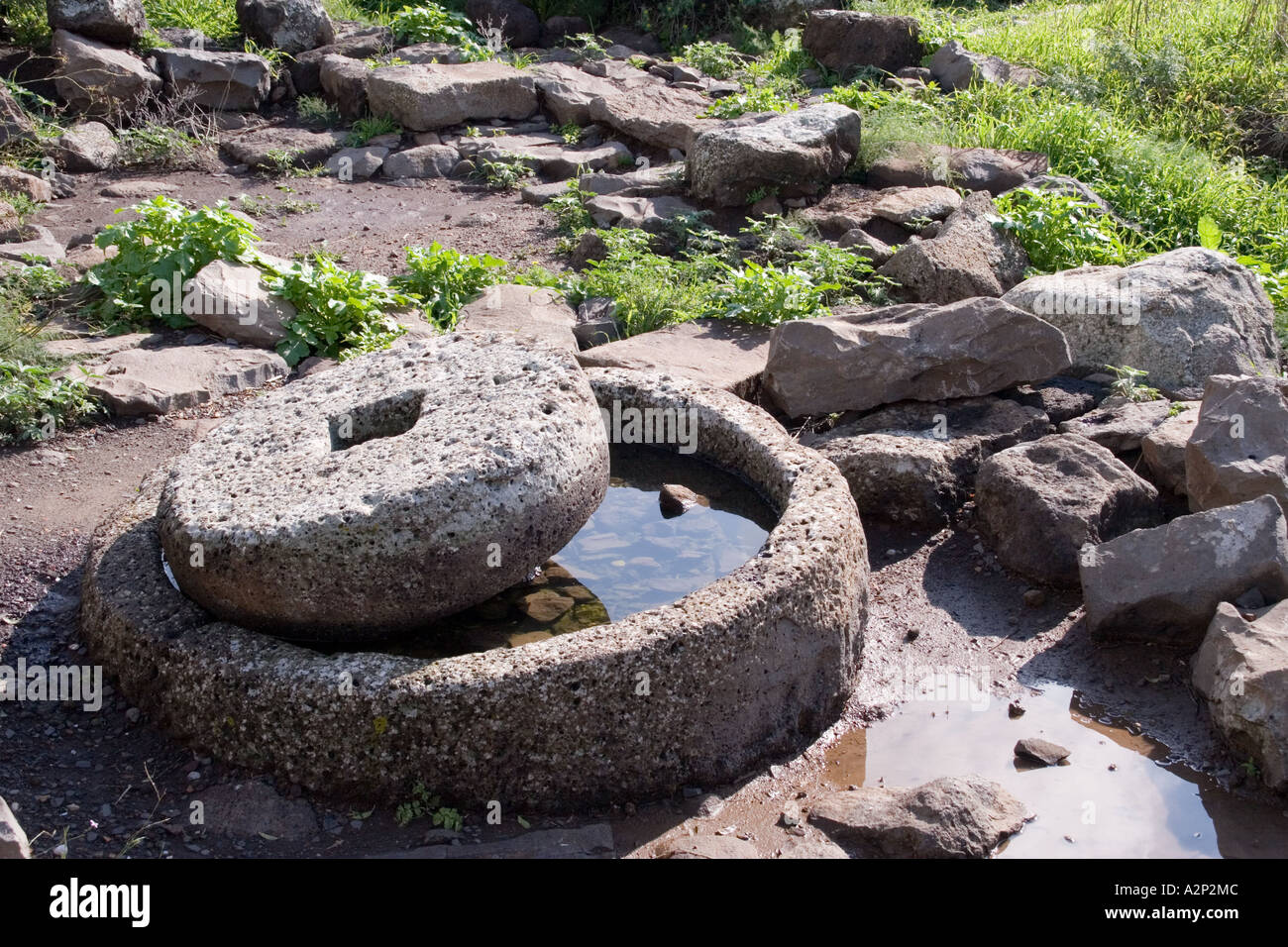 Olive grinding stone hi-res stock photography and images - Alamy