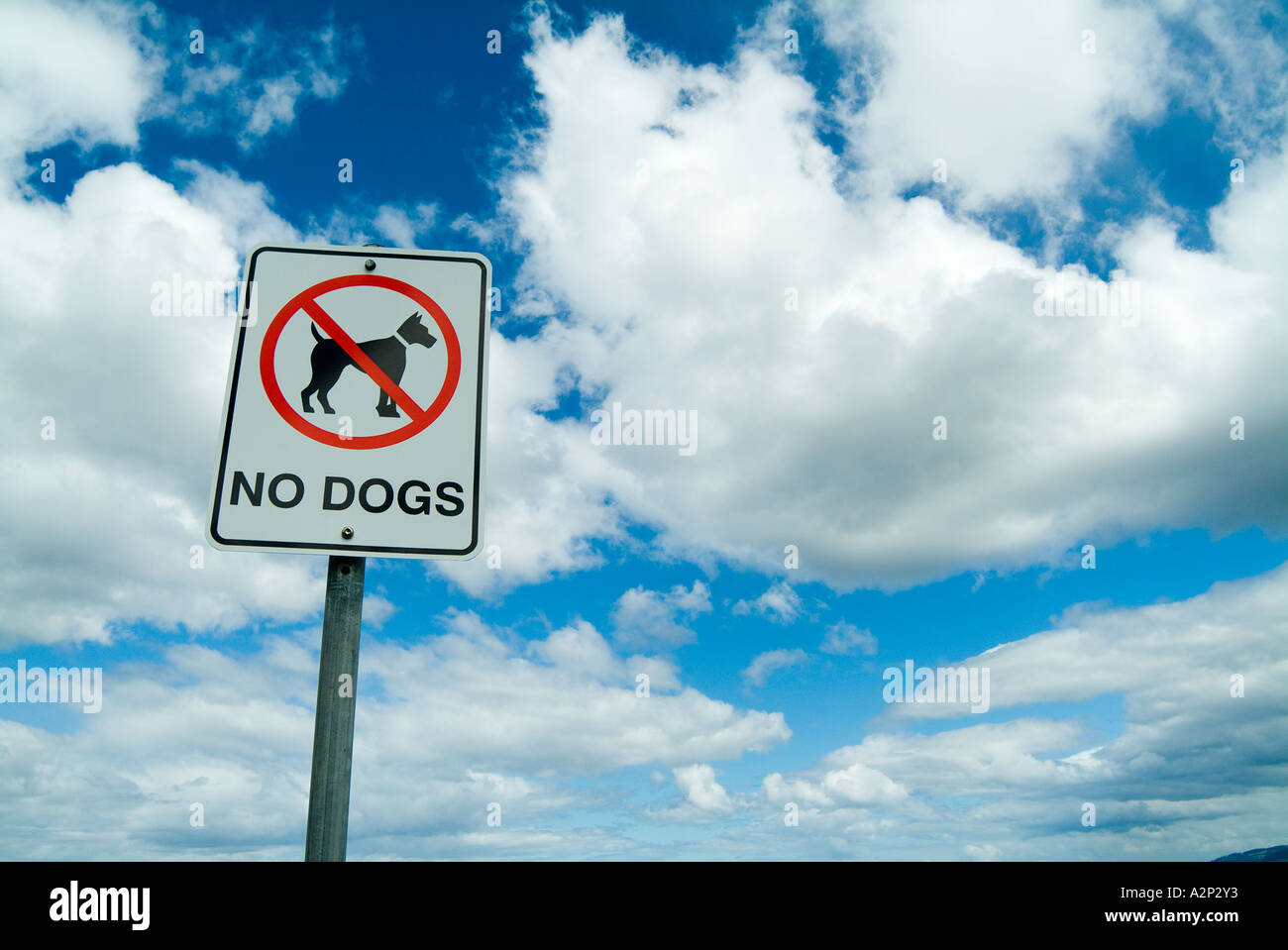 No dogs sign against sky at beach Stock Photo - Alamy