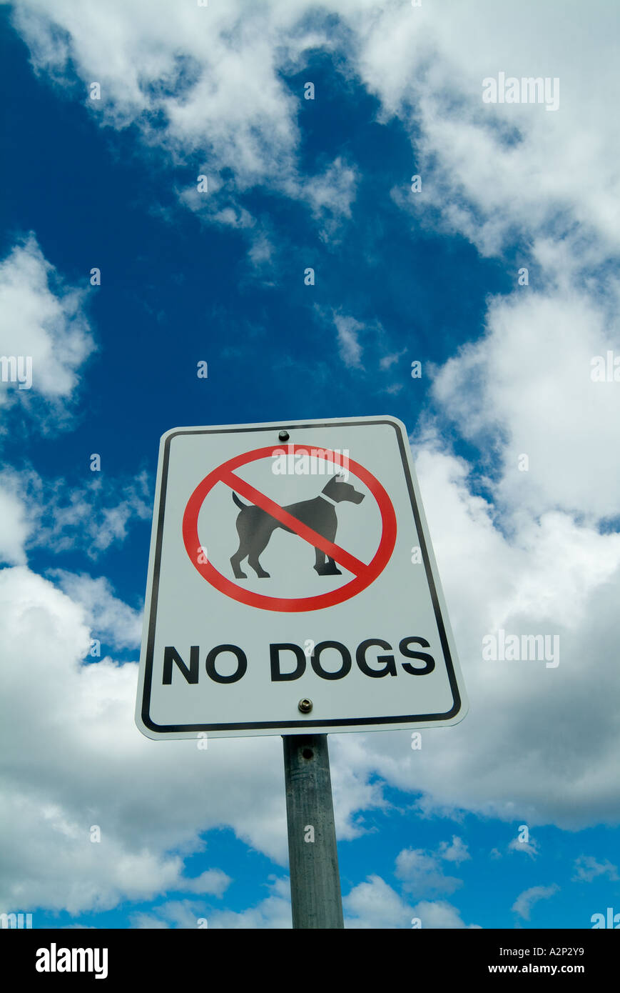 Dogs allowed beach signpost hi-res stock photography and images - Alamy