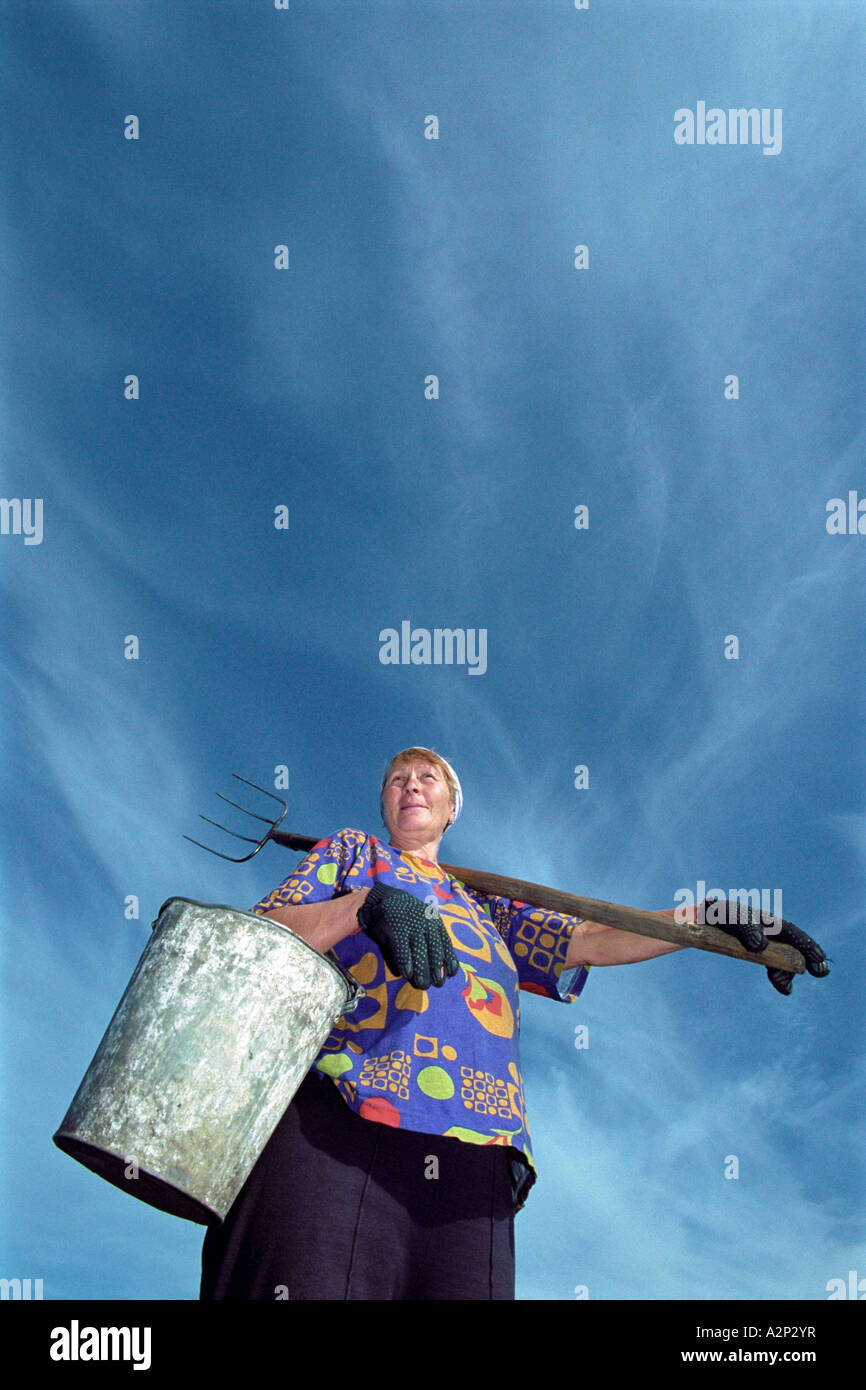 Woman with pitchfork. Potato harvesting. Altai. Siberia. Russia Stock ...