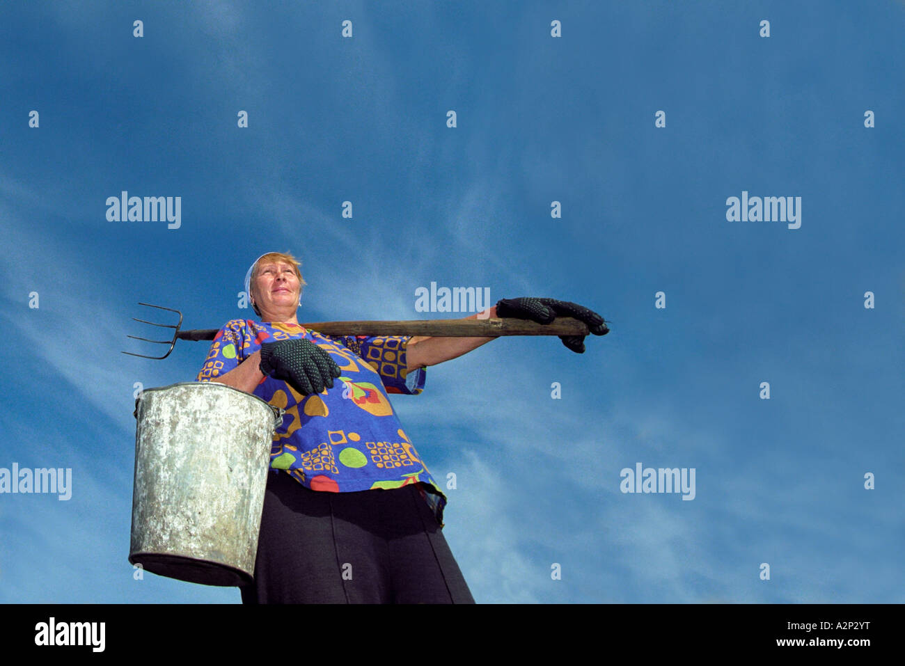 Woman with pitchfork. Potato harvesting. Altai. Siberia. Russia Stock ...