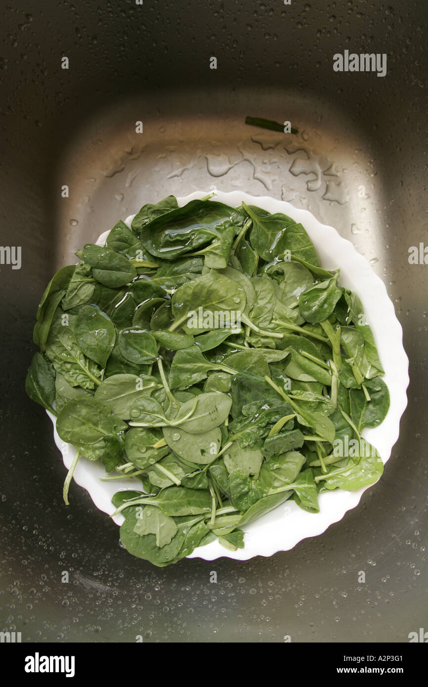 fresh raw spinach washing sink health nutrition colour cooking food ...