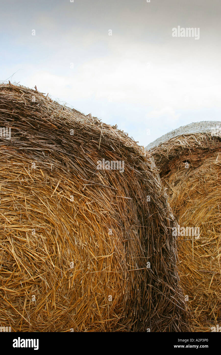 Hay bundles hi-res stock photography and images - Alamy