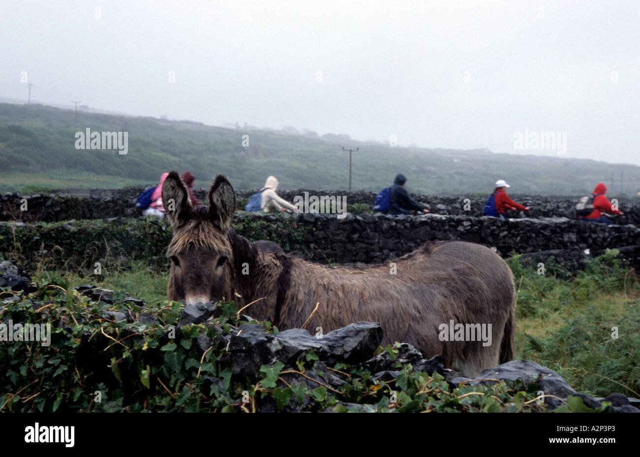 Inish mor hi-res stock photography and images - Alamy