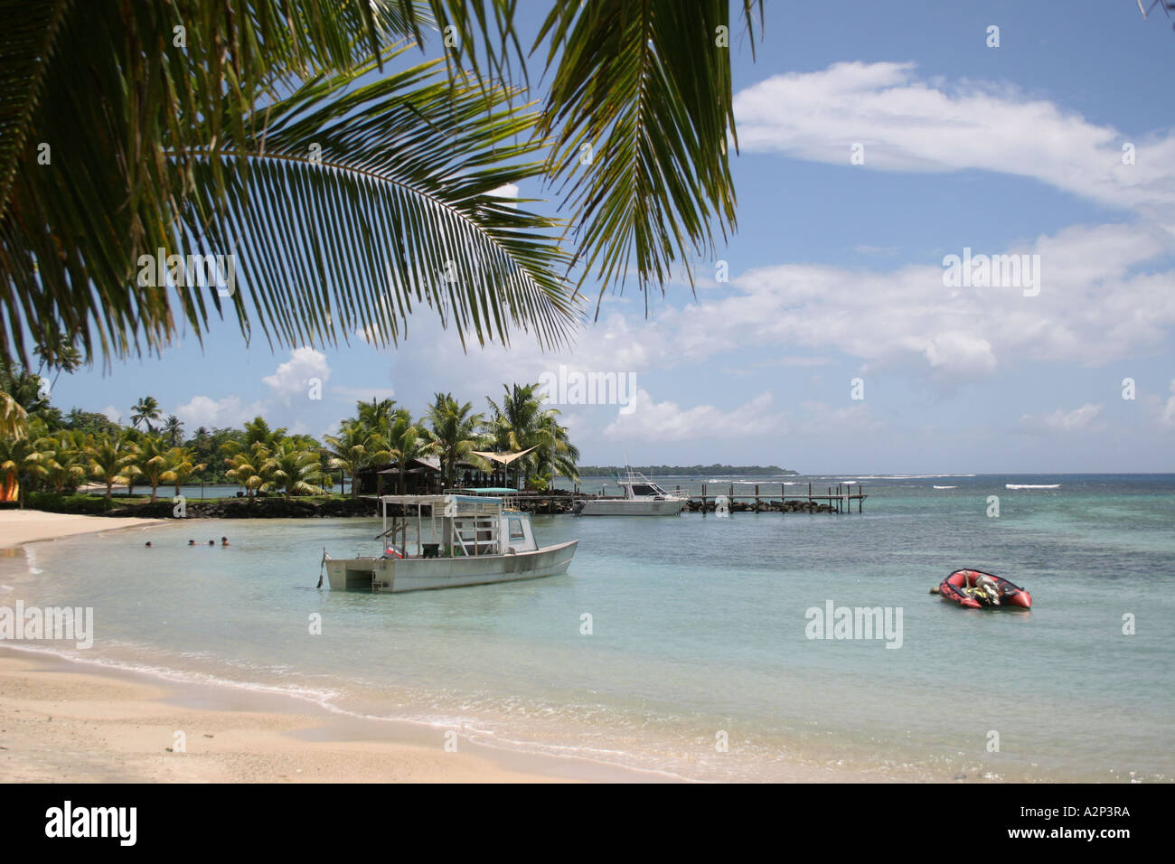 Manono uta hi-res stock photography and images - Alamy