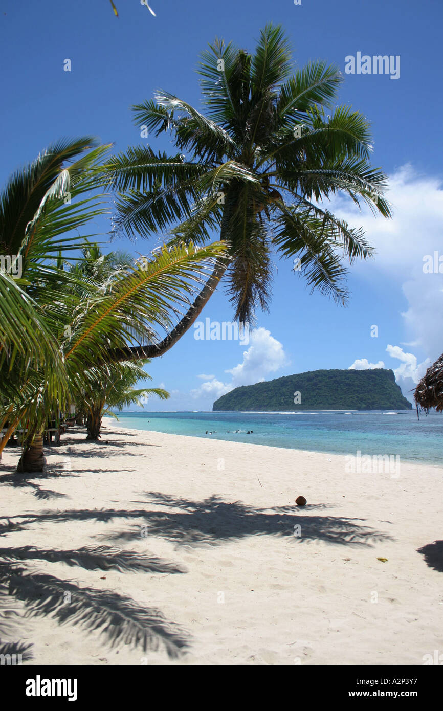 Upolu samoa coconut hi-res stock photography and images - Alamy