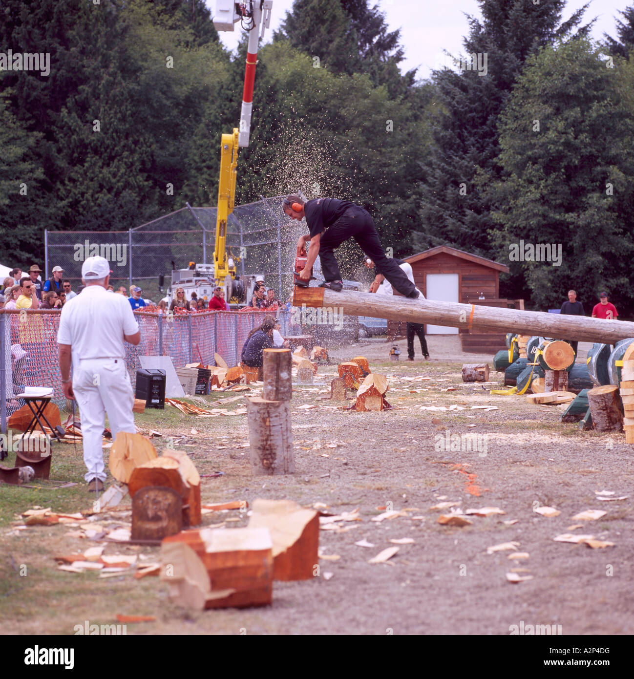 Logger Sports Competition at "Ukee Days" in Ucluelet on Vancouver ...