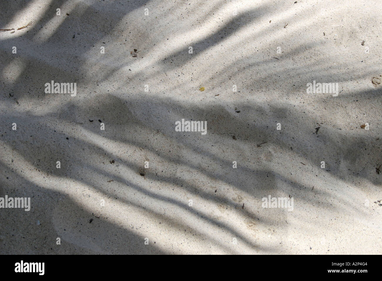 Ade 049 Shadow on sand Stock Photo - Alamy