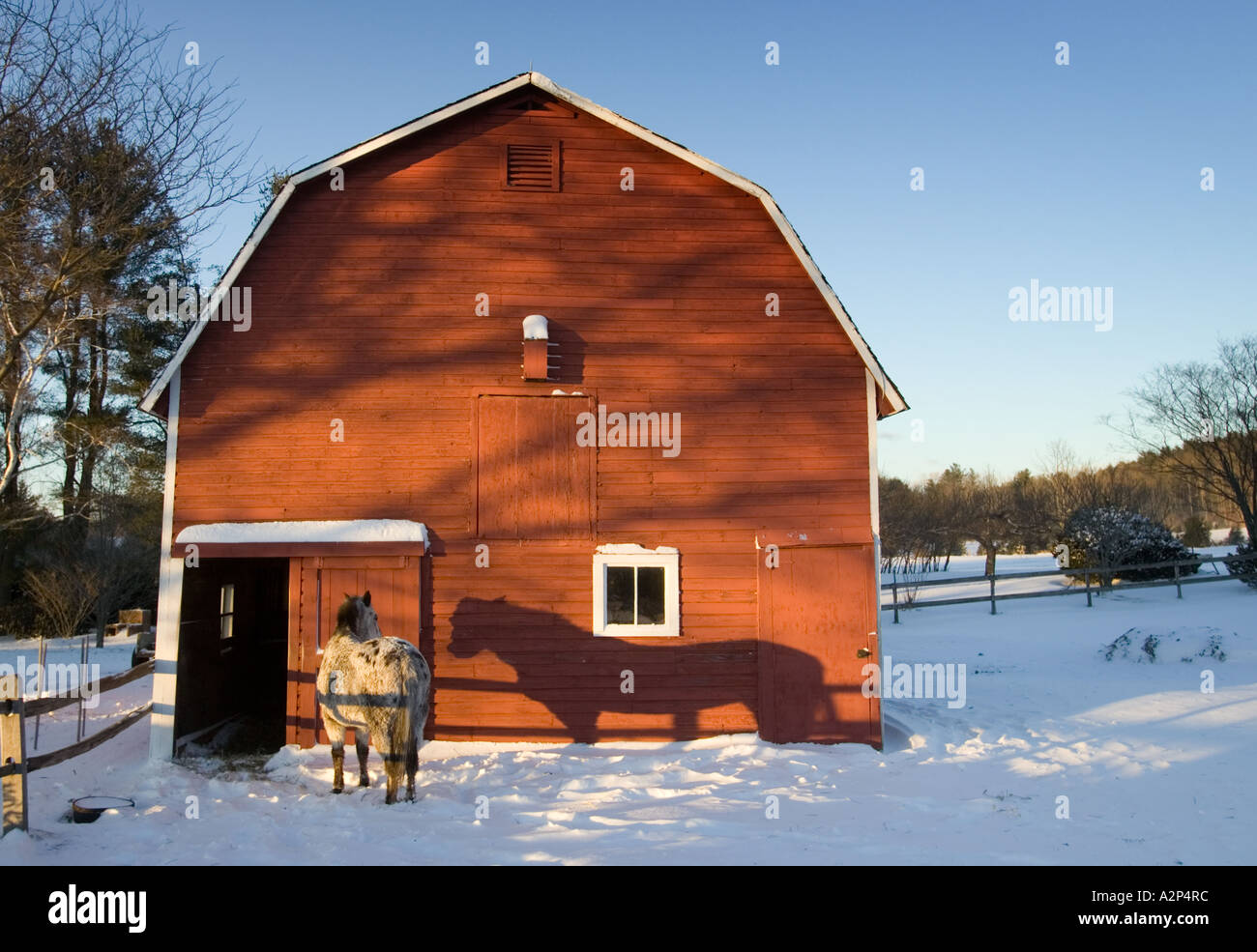 Storm red horse hi-res stock photography and images - Alamy