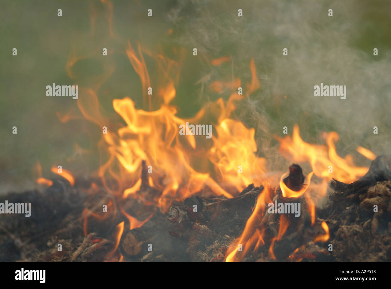 Flames of fire burning Stock Photo - Alamy