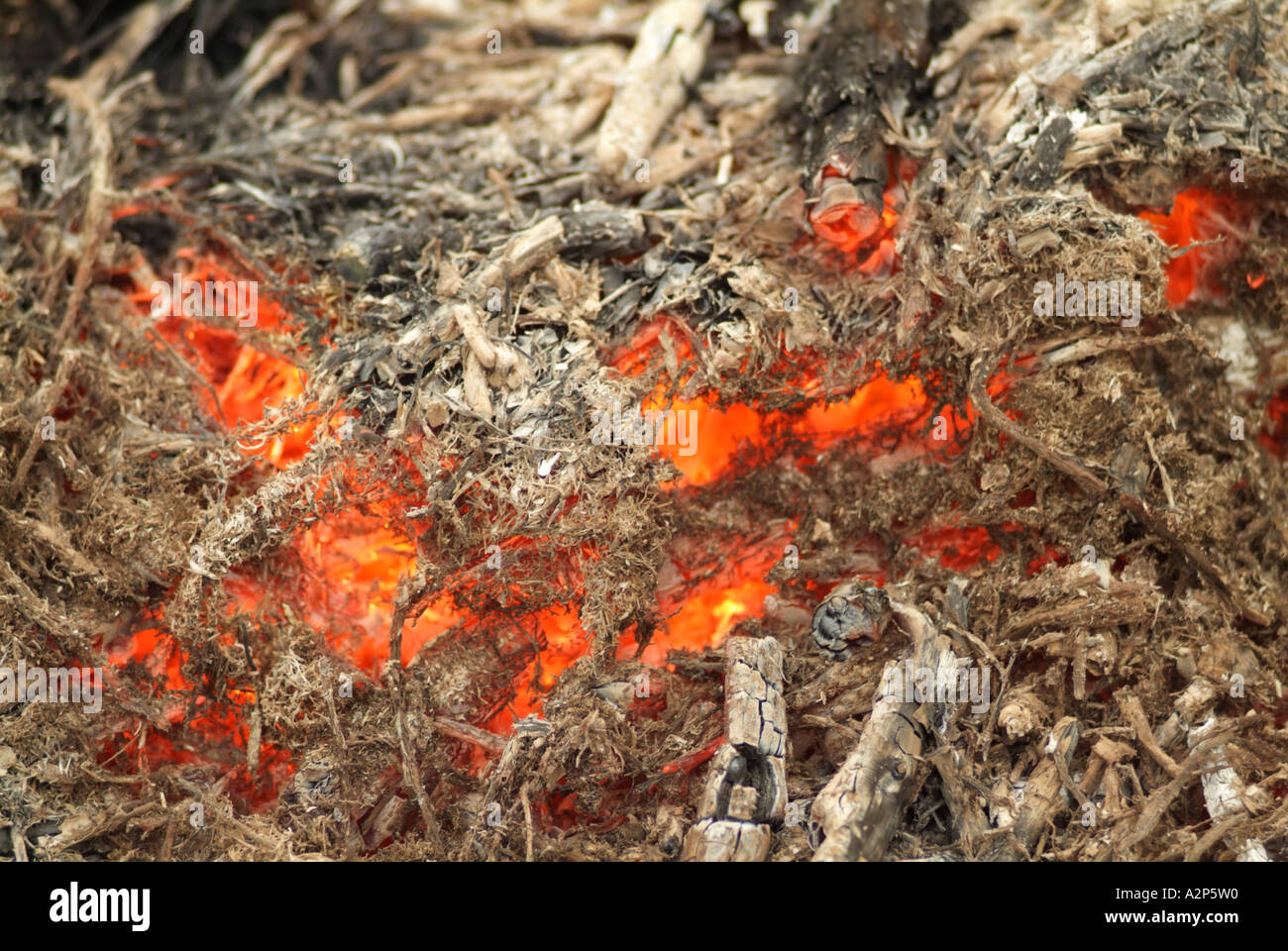 Red glowing coal and embers of a fire Stock Photo - Alamy