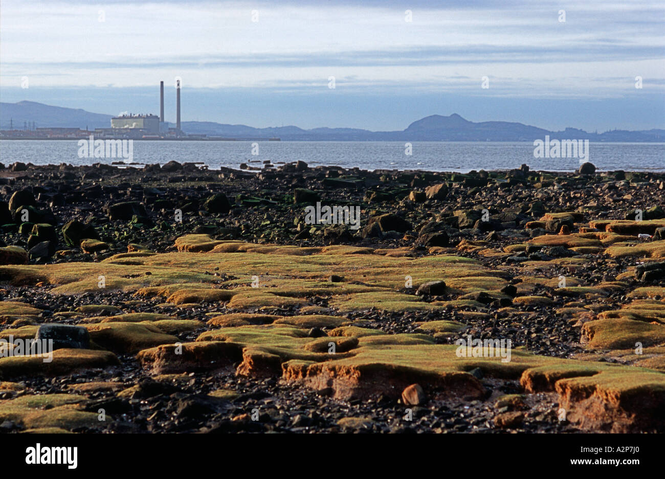 The rocky beach at Longniddry Bents with Cockenzie power station in the ...