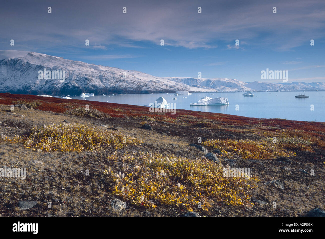 autumnal tundra landscape at Harefjord, Greenland, Ostgroenland, Tunu ...