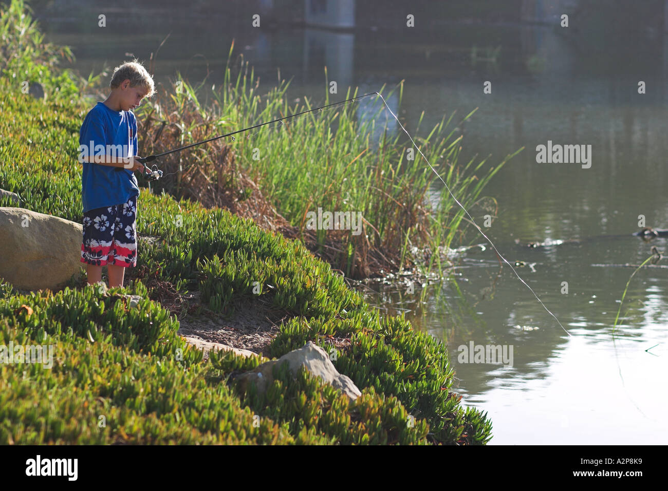 Patiently waiting for a catch hi-res stock photography and images - Alamy