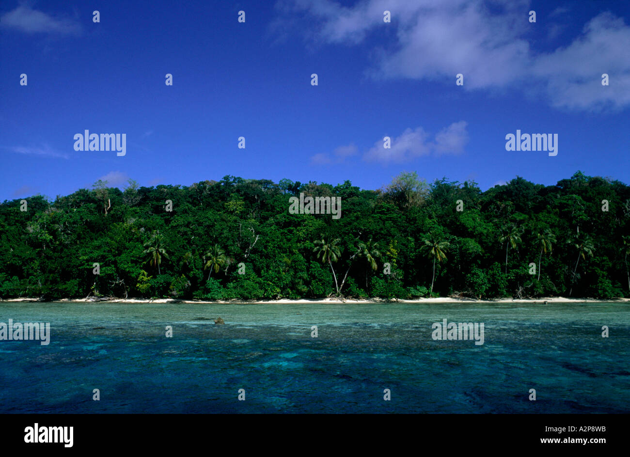 New georgia solomon hi-res stock photography and images - Alamy