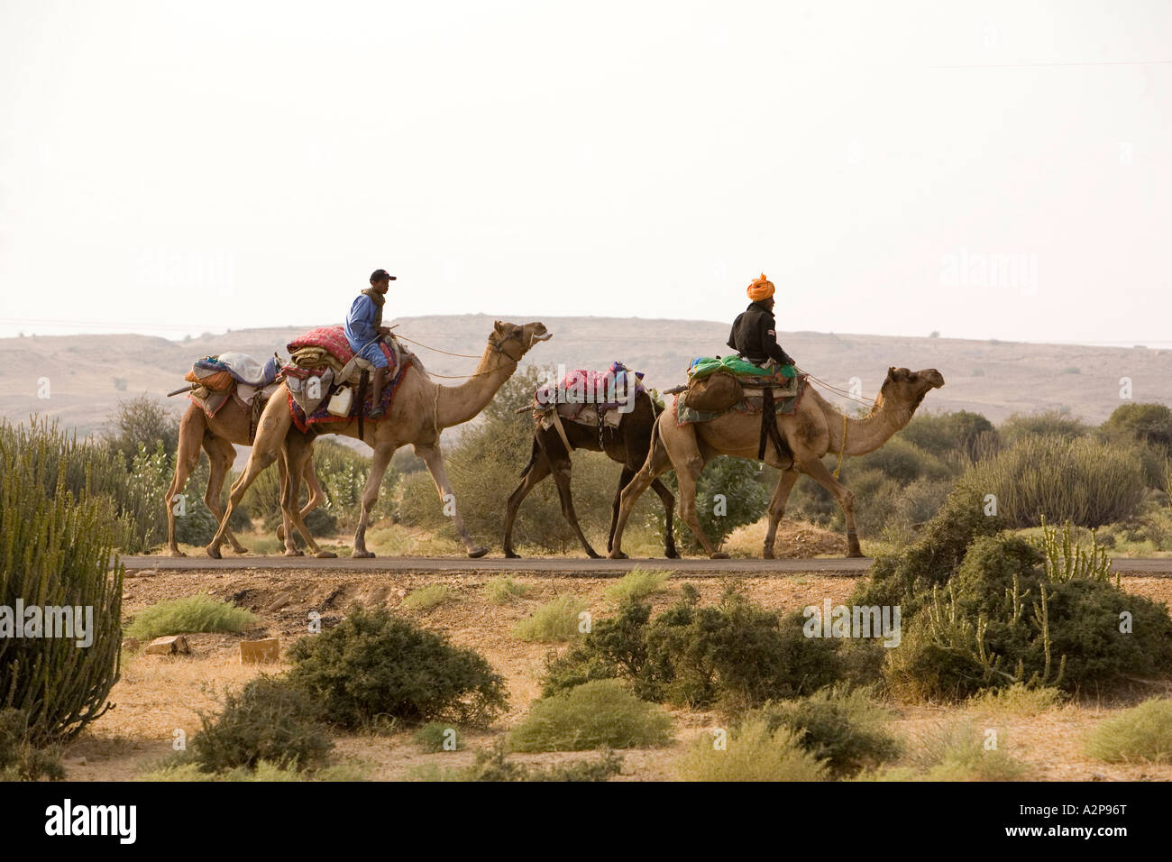 India Rajasthan Jaisalmer camel train on remote Thar Desert road Stock ...