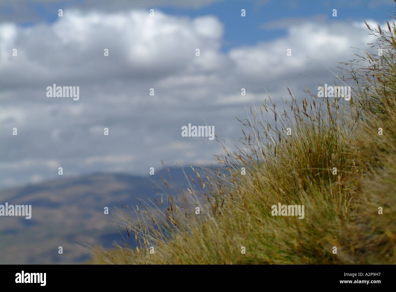 grassy ridge with cloudy sky behind and valley Stock Photo - Alamy