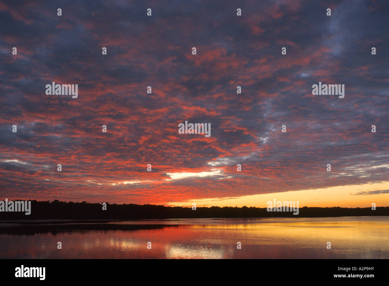 Everglades np mcphoto hi-res stock photography and images - Alamy