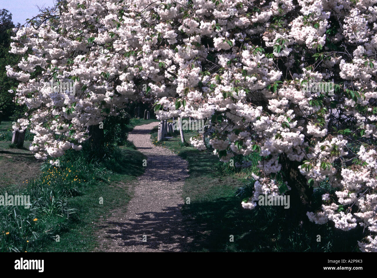 Cookham village hi-res stock photography and images - Alamy