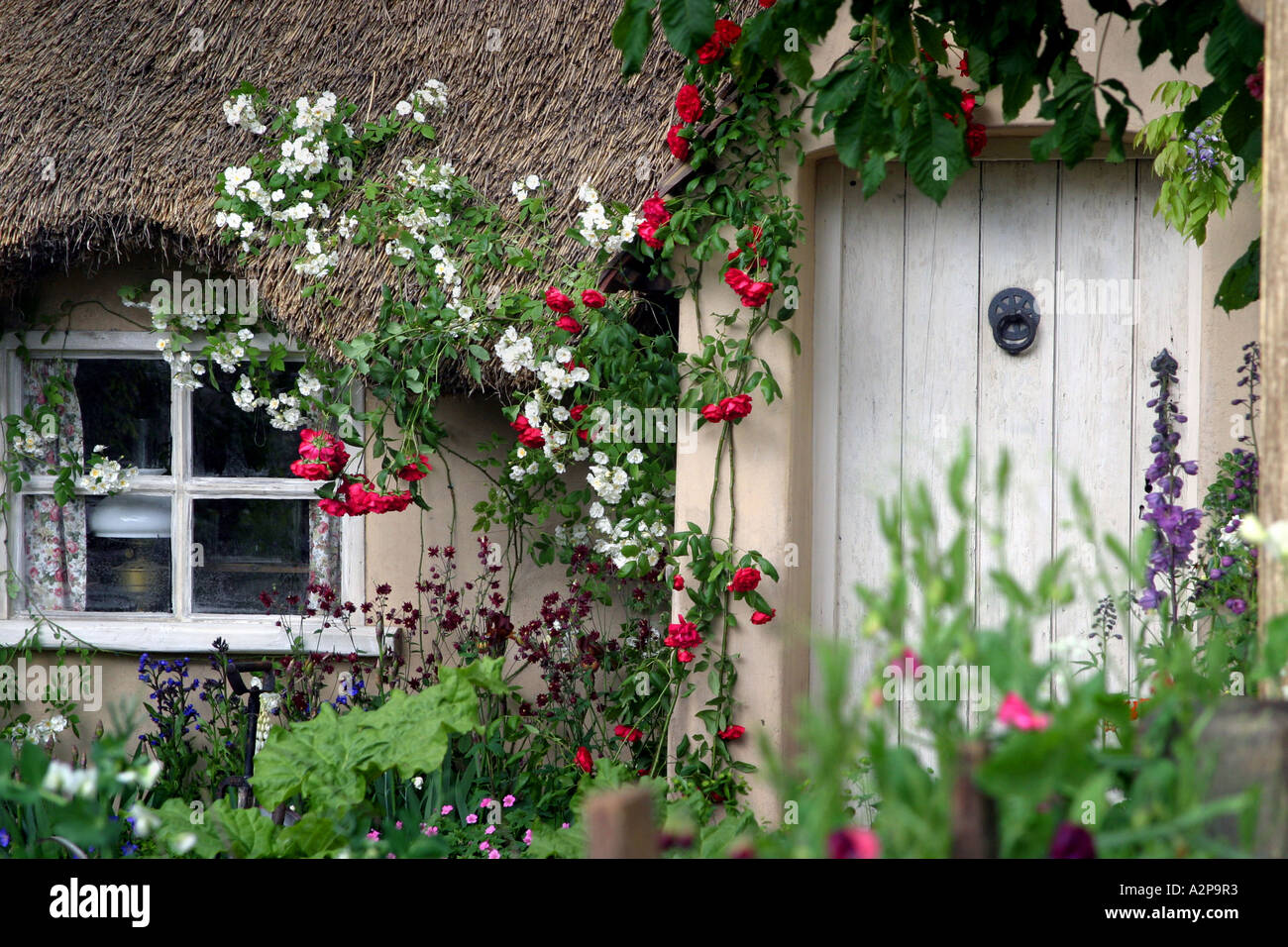 Award winning stand at the Chelsea Flower Show 2005, The Chelsea ...