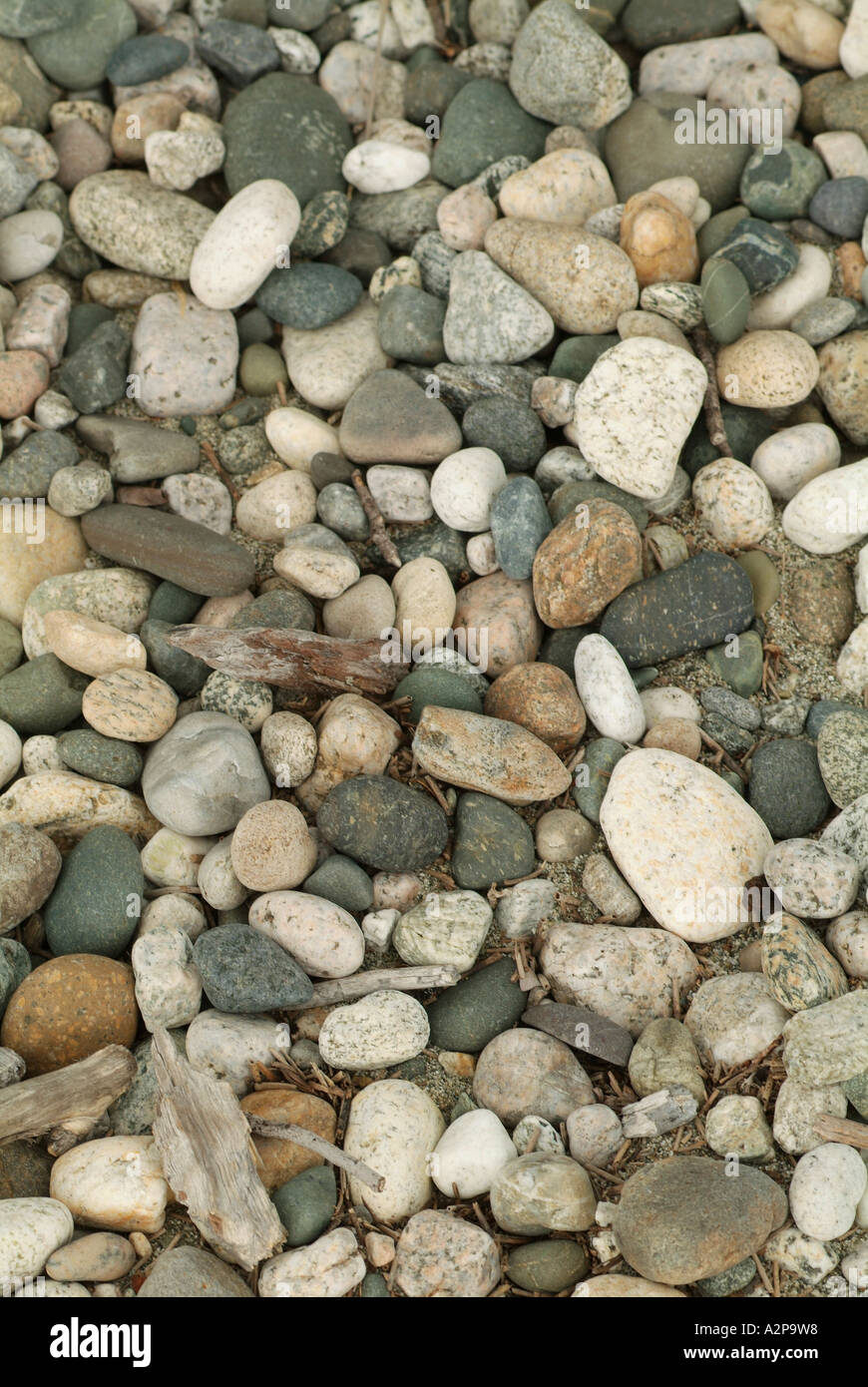 stones and rocks on stoney beach Stock Photo - Alamy