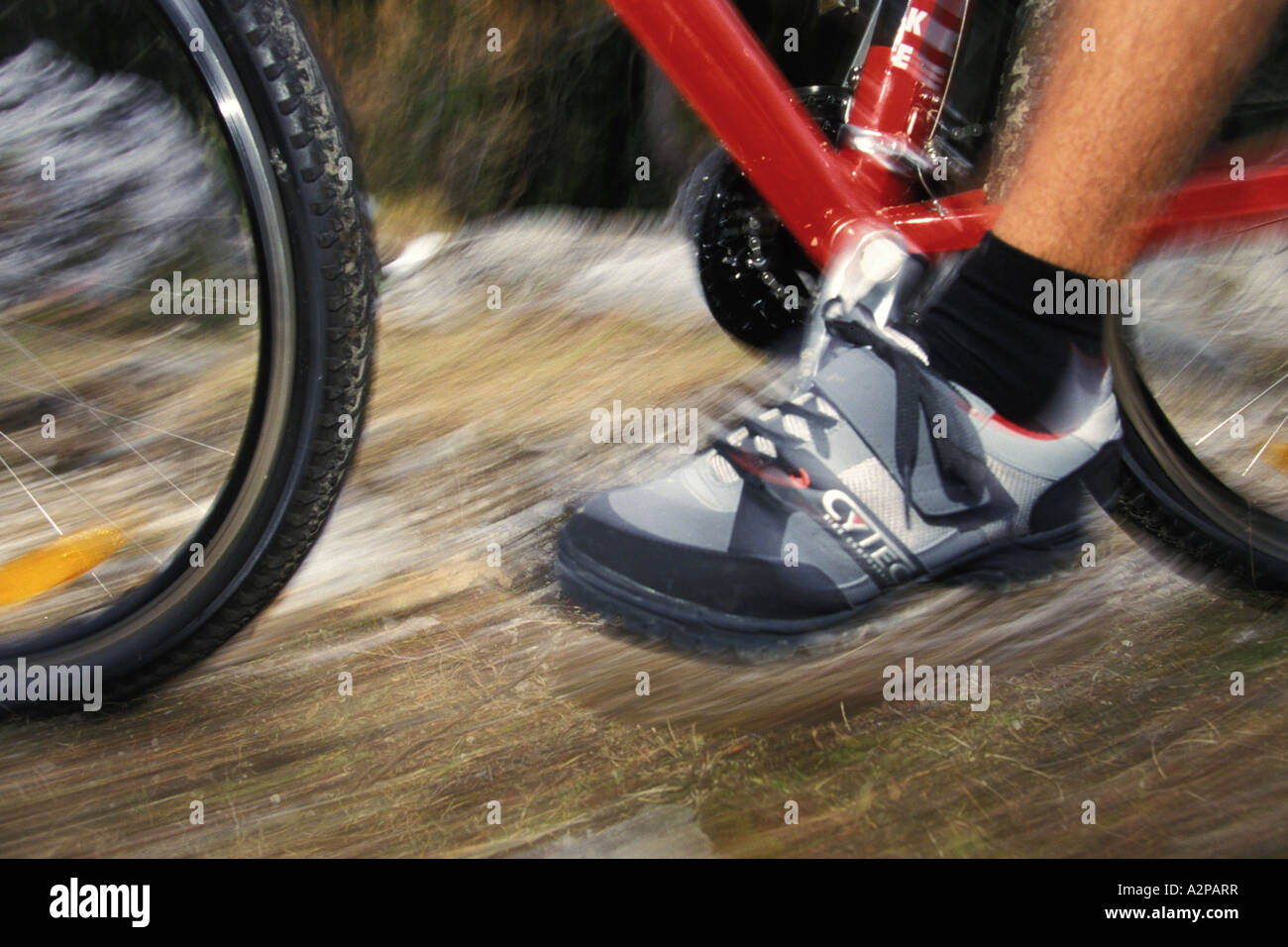 foot of mountainbiker pedaling Stock Photo - Alamy
